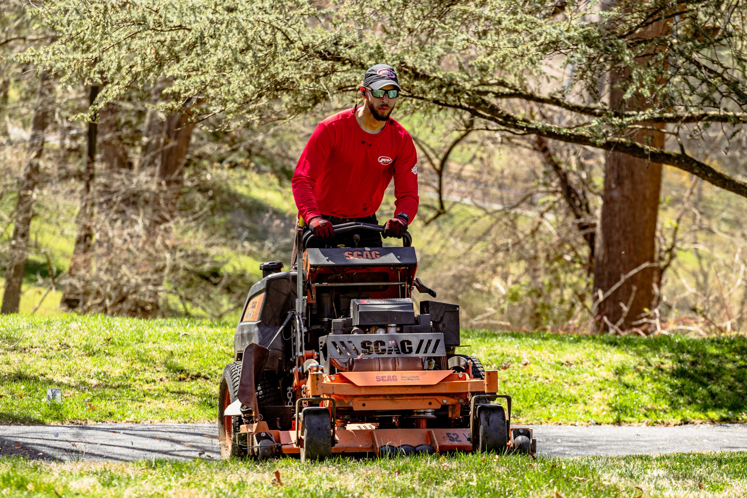 Complete Guide to Professional Landscaping in Delaware County, PA ...